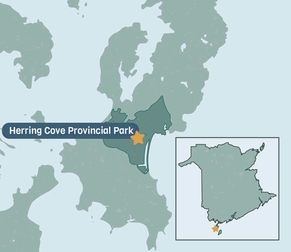 Herring Cove Provincial Park | Parks | Explore New Brunswick's ...