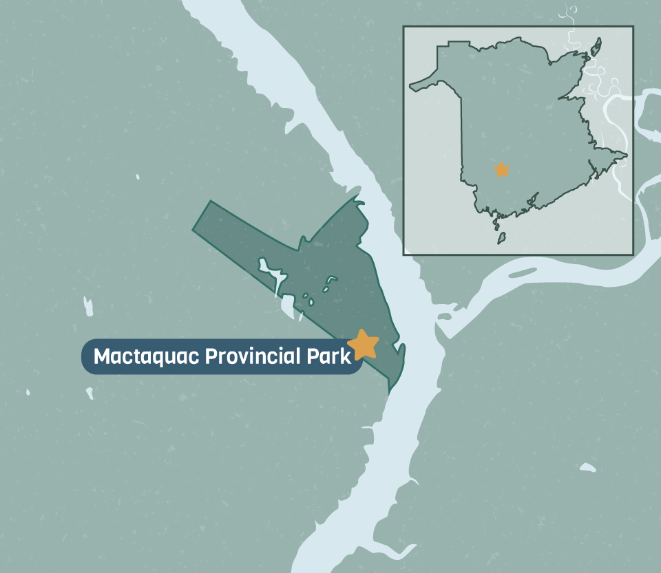 Dates & Rates | Mactaquac Provincial Park | Parks | Explore New ...