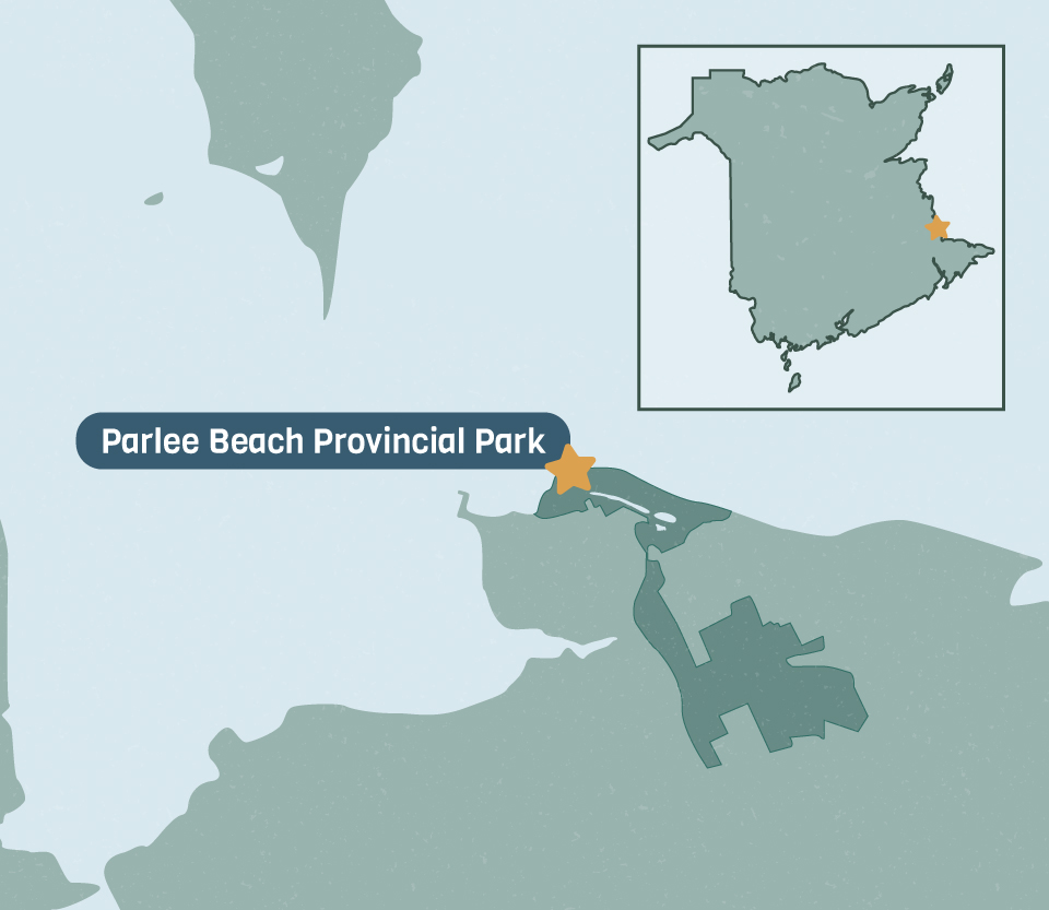 Parlee Beach Provincial Park | Parks | Explore New Brunswick's ...