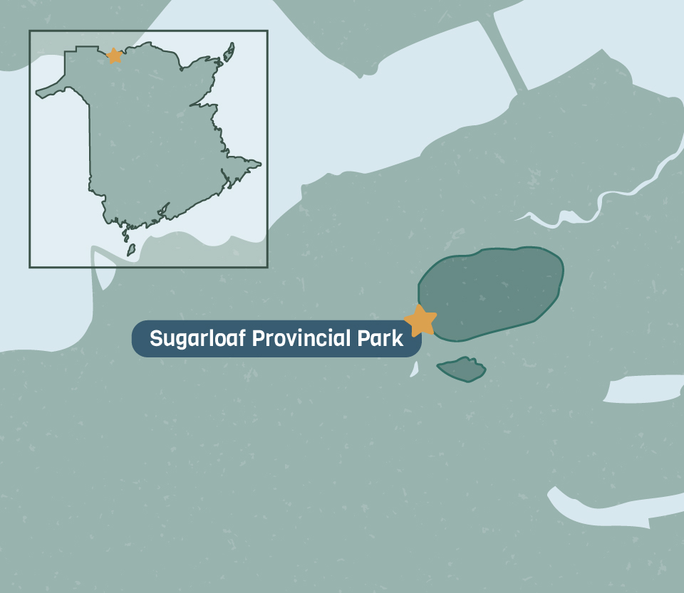 Activities | Sugarloaf Provincial Park | Parks | Explore New Brunswick ...