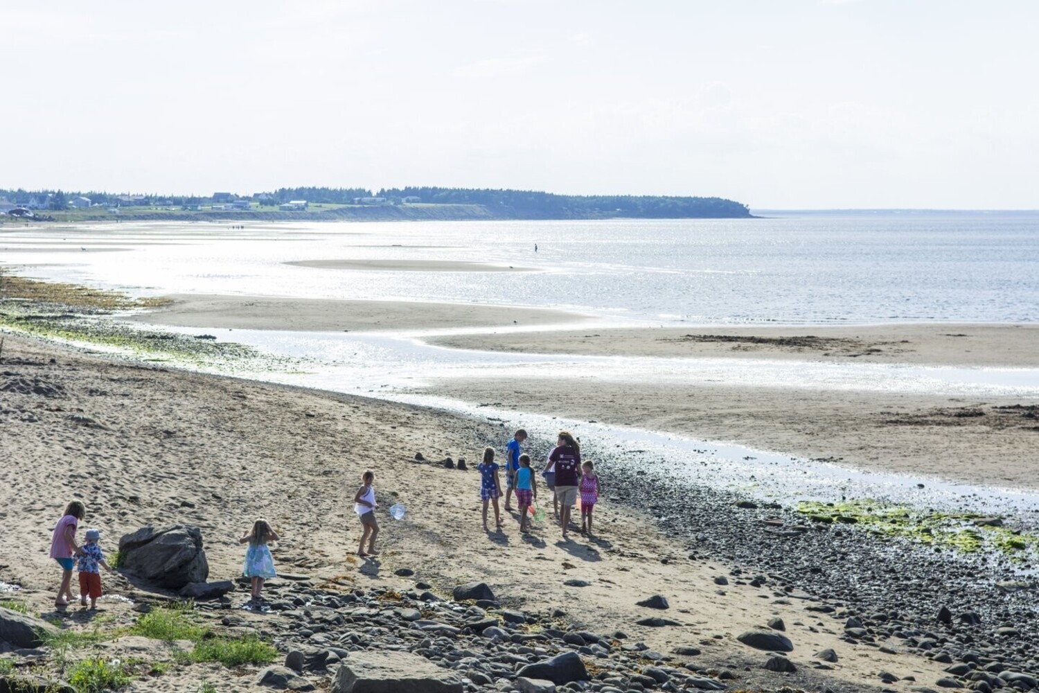 Gallery | Murray Beach Provincial Park | Parks | Explore New Brunswick's Provincial Parks | NB Parks