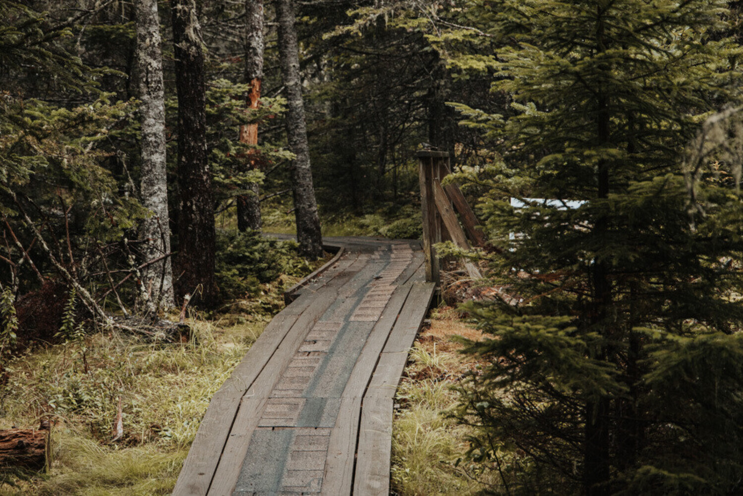 Gallery | The Anchorage Provincial Park | Parks | Explore New Brunswick's Provincial Parks | NB ...