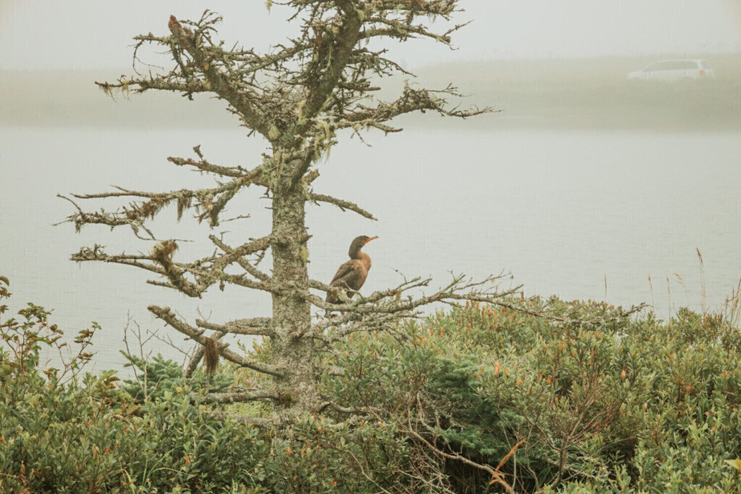 Gallery | The Anchorage Provincial Park | Parks | Explore New Brunswick's Provincial Parks | NB ...