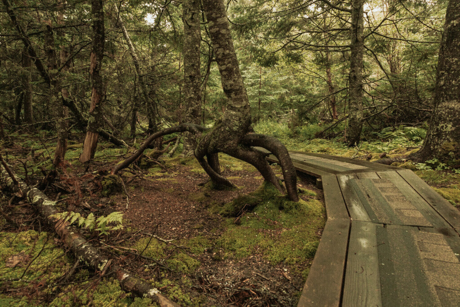 Gallery | The Anchorage Provincial Park | Parks | Explore New Brunswick's Provincial Parks | NB ...
