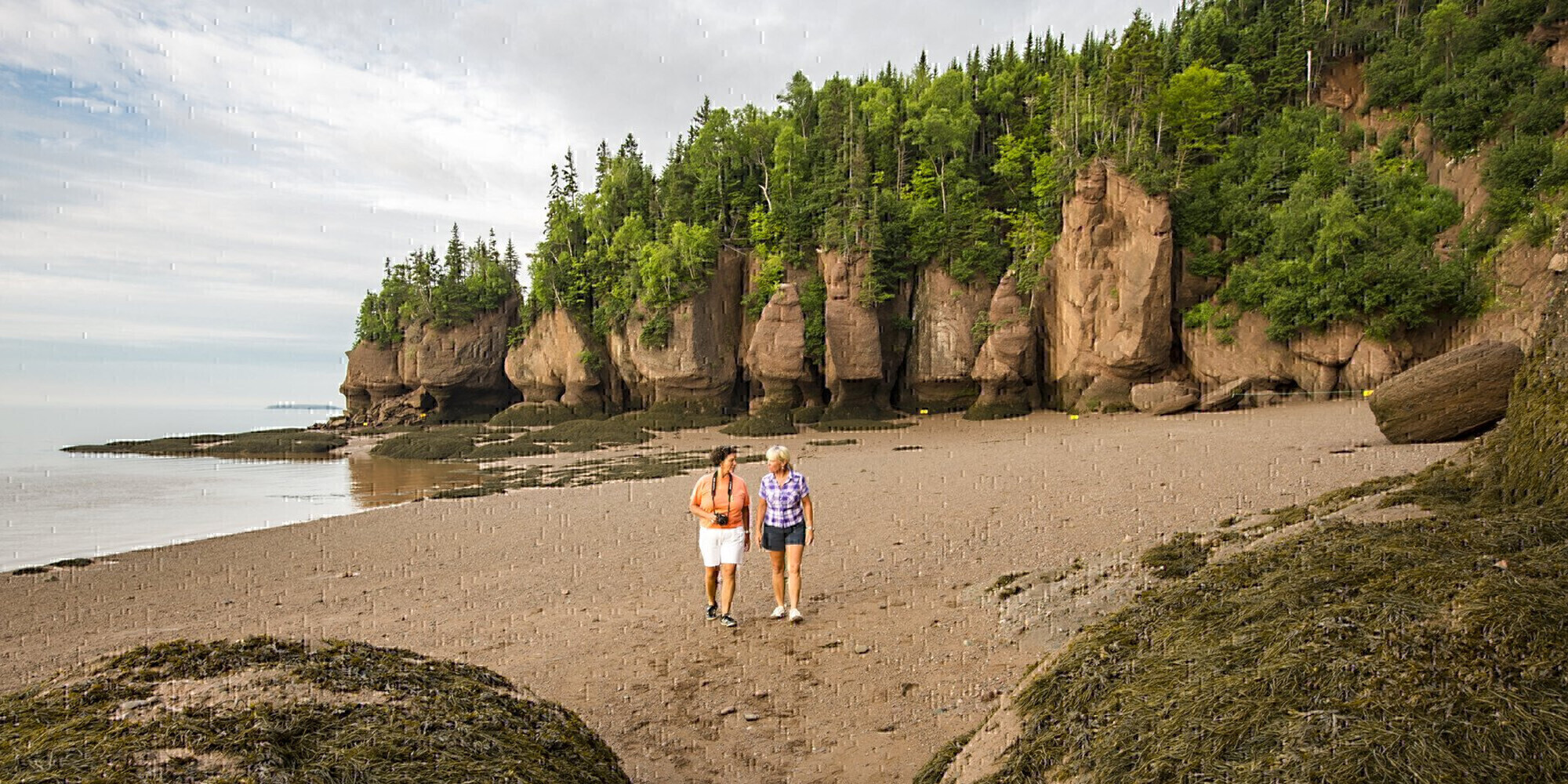 Gallery | Hopewell Rocks Provincial Park | Parks | Explore New Brunswick's Provincial Parks | NB ...