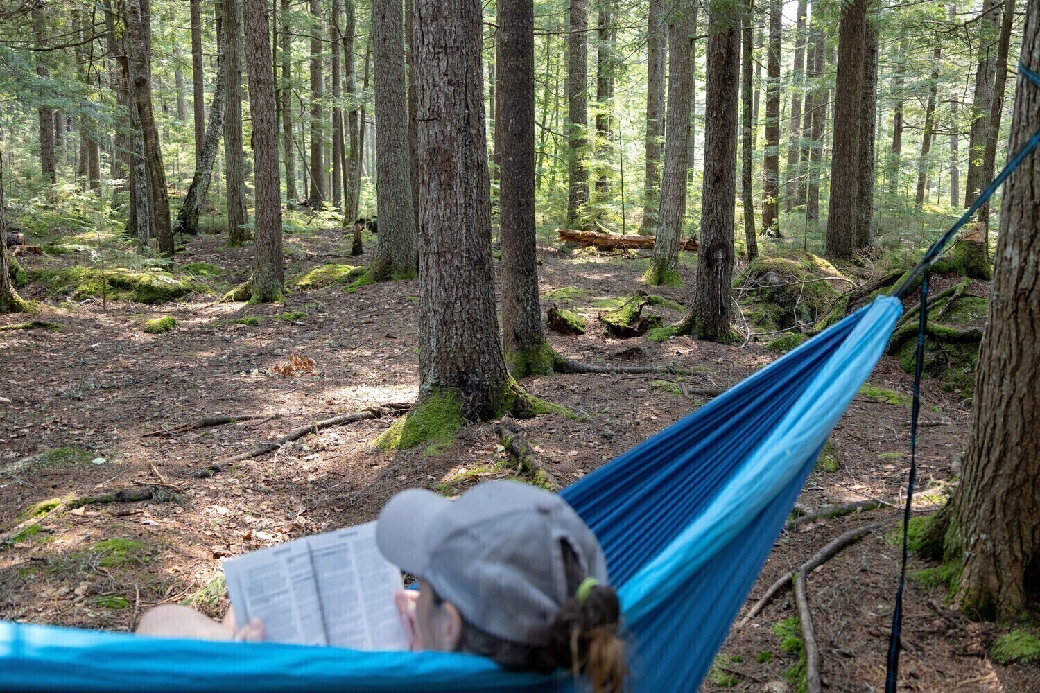 Gallery | North Lake Provincial Park | Parks | Explore New Brunswick's Provincial Parks | NB Parks