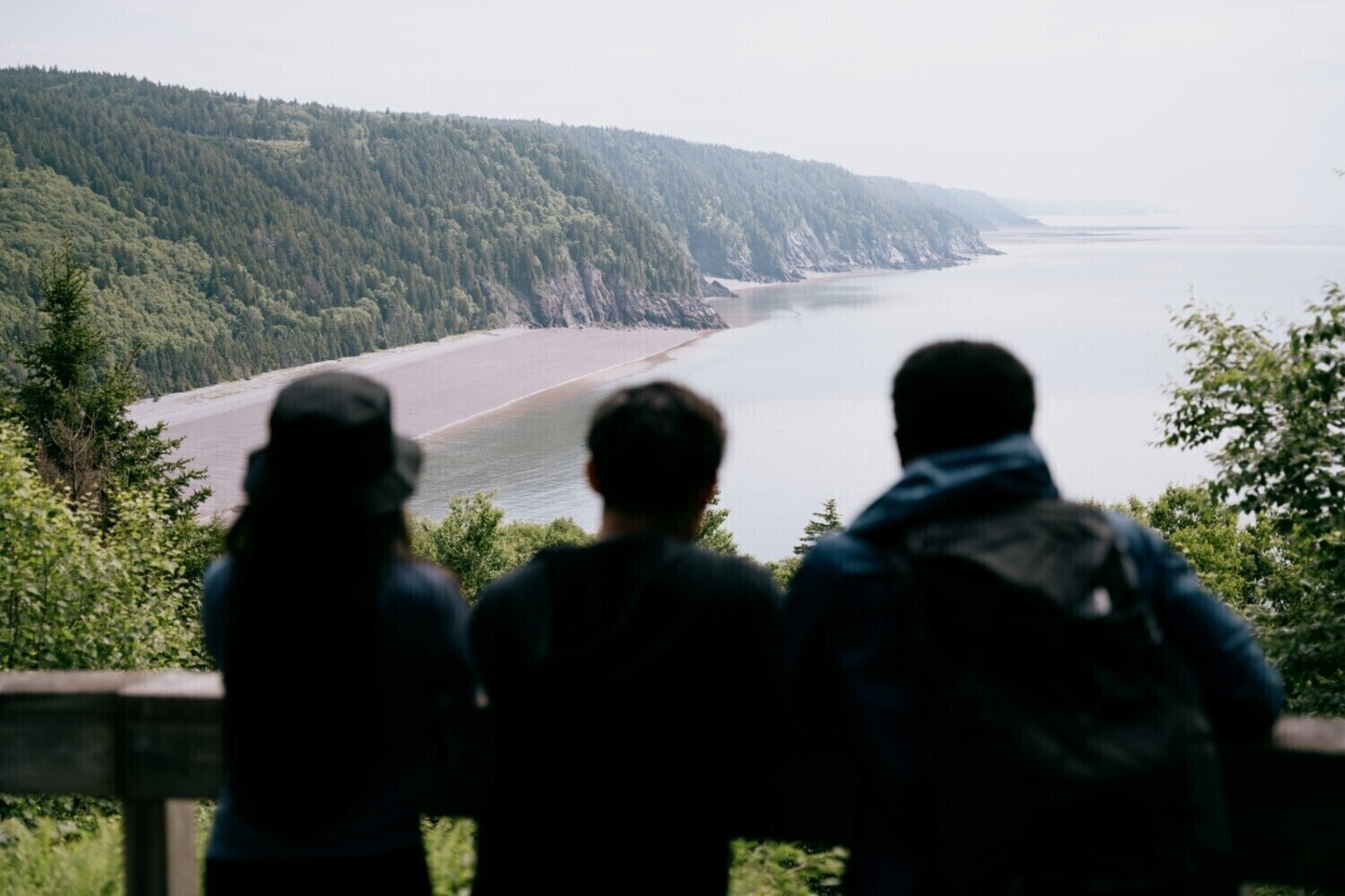 Gallery | Fundy Trail Provincial Park | Parks | Explore New Brunswick's ...