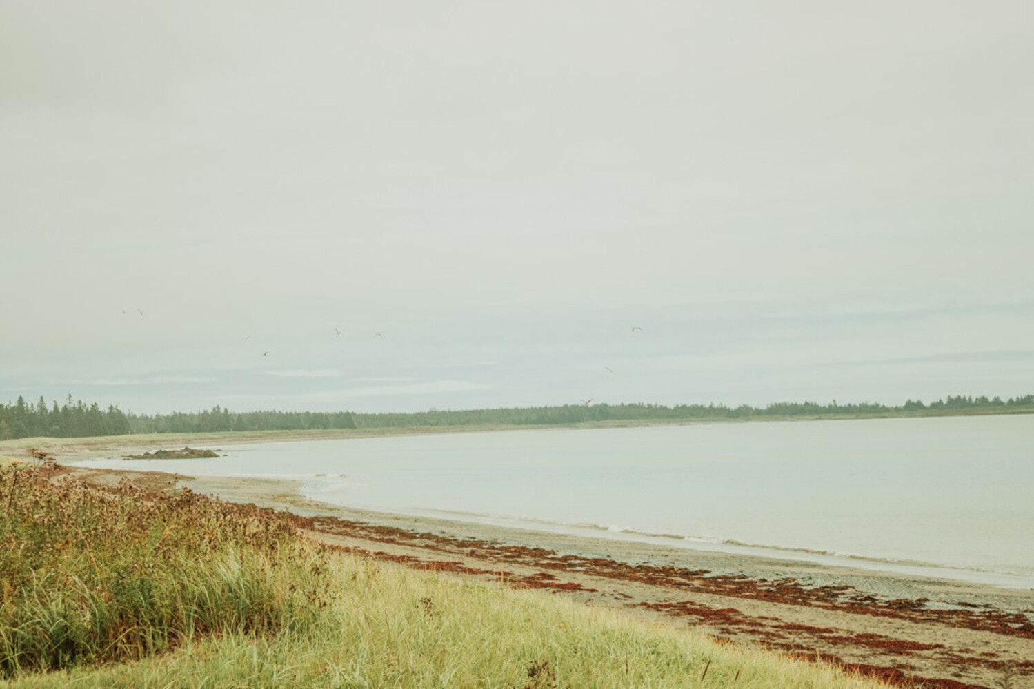 The Anchorage Provincial Park | Parks | Explore New Brunswick's Provincial Parks | NB Parks