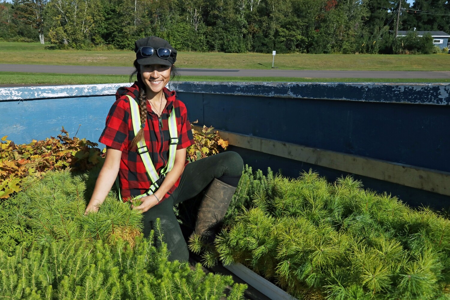 Growing a Forest of Hope: The Road to Planting 500,000 Trees in New ...